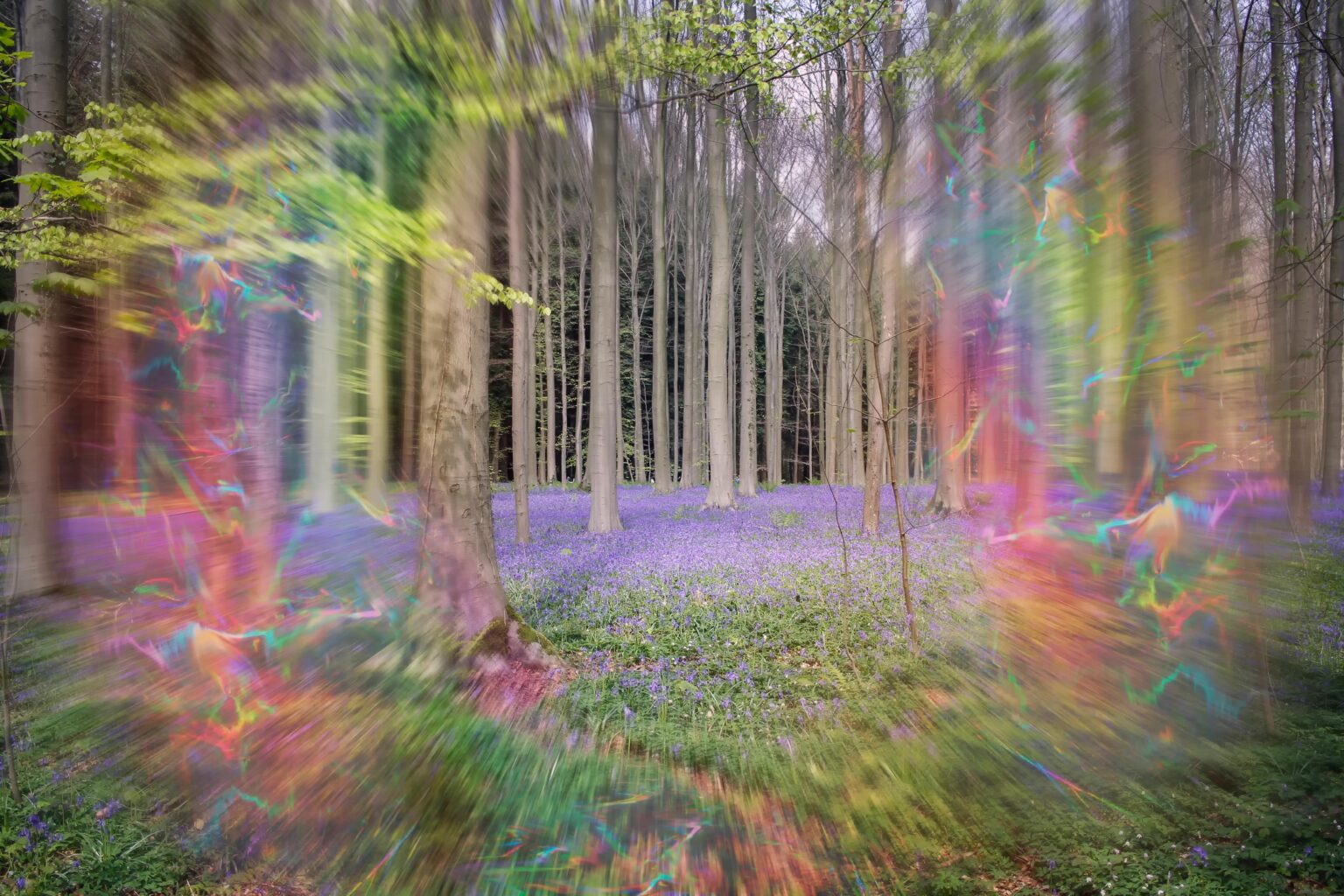 Understanding The Different Types Of Migraines Premier Neurology