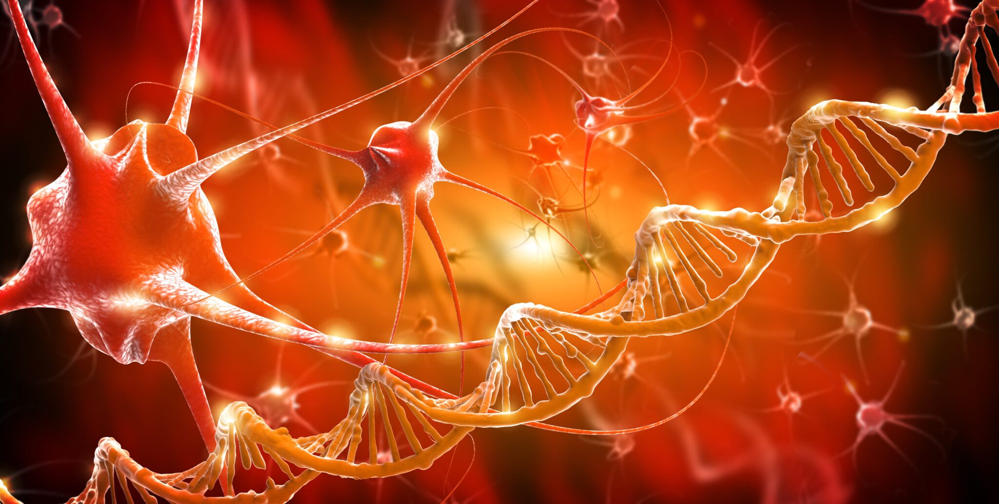 The Role of Genetics in Neurological Disorders: What Families Should ...